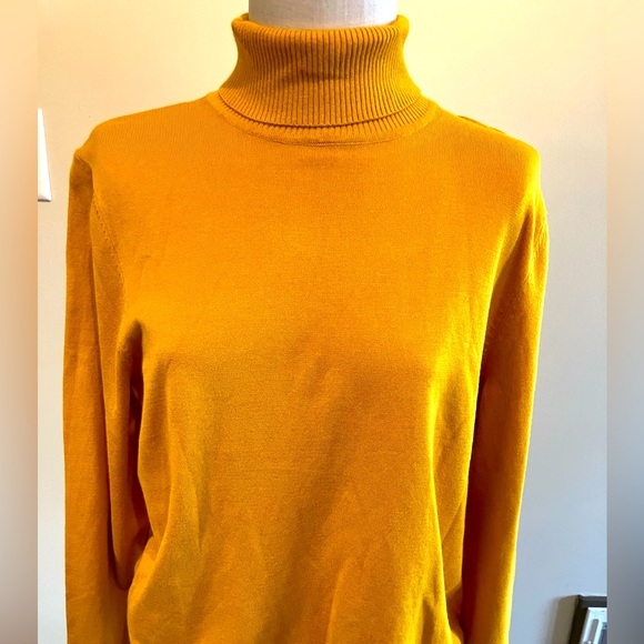 Joseph A | Sweaters | Nwt Joseph A Ladies Turtleneck Super Soft Sz Pxl ...